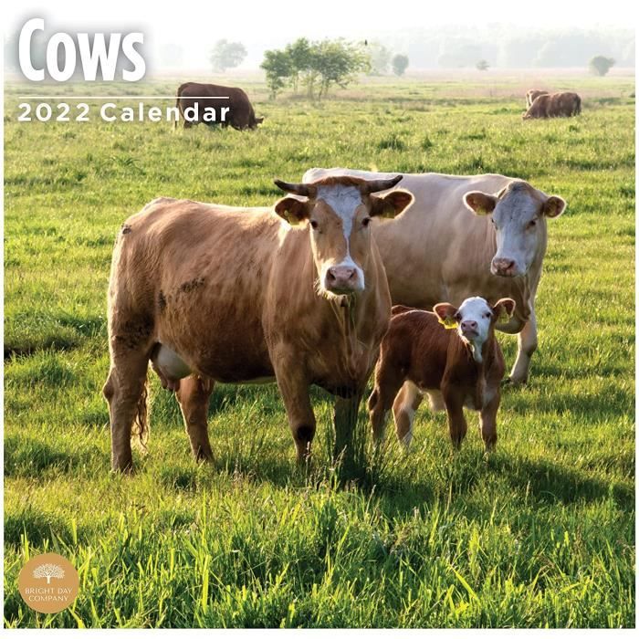Bright Day Calendrier mural 2022 Motif vaches 30,5 x 30,5 cm[707] - Cdiscount Beaux-Arts et ...