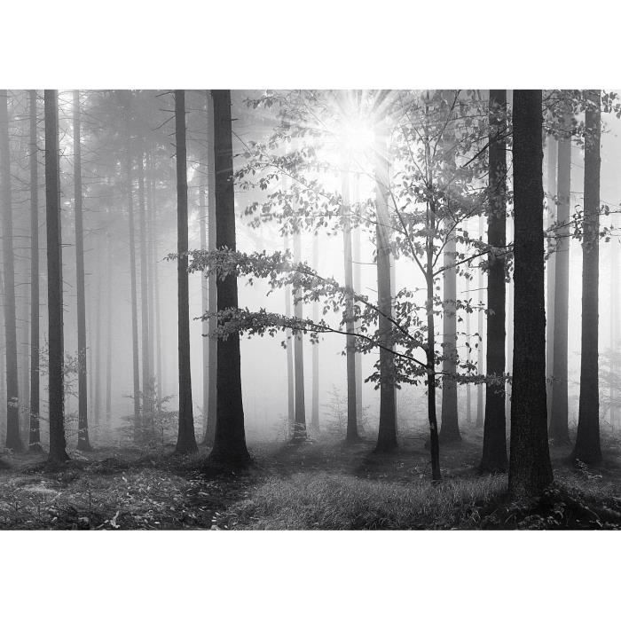 Papier peint intissé Forêt dans le brouillard papier peint Salon ...