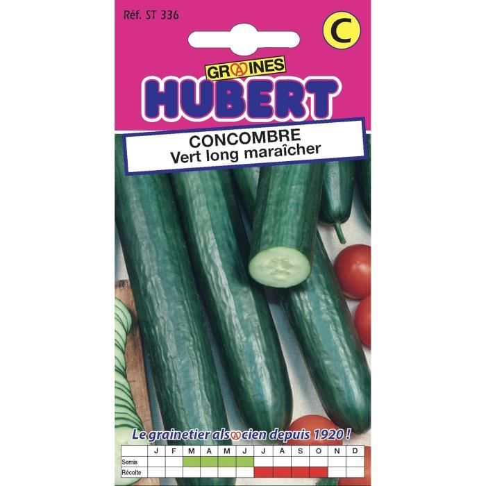 Graines De Concombre Vert Long Maraîcher - 3 Grammes[z2729] - Cdiscount ...
