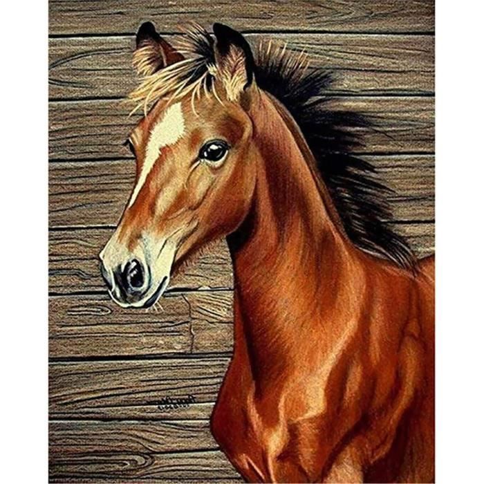 Peinture au Numero DIY Cheval Paint by Number Kit Peinture Par Numéros ...