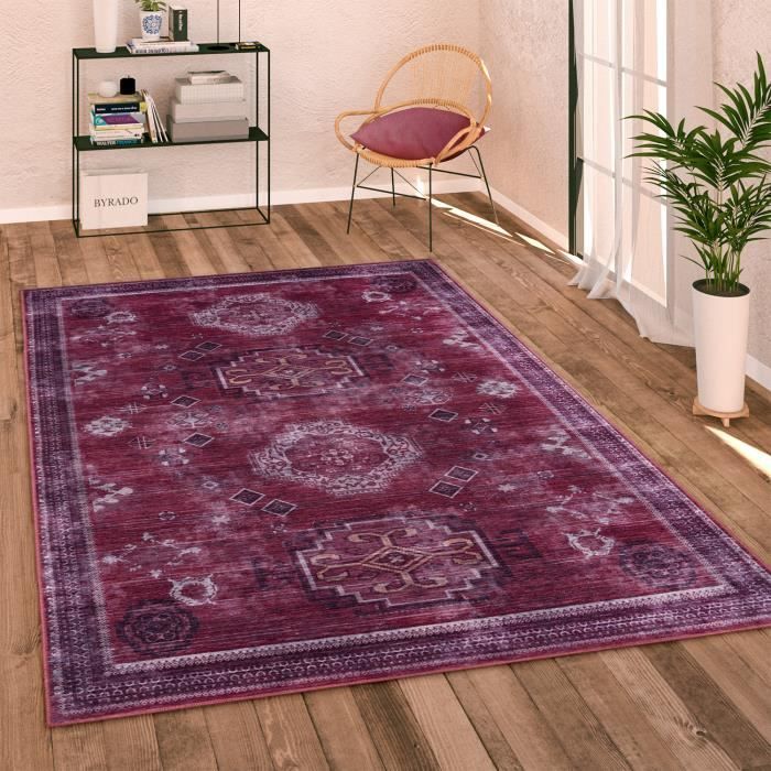 Paco Home Tapis De Salon Tissage Plat Moderne Vintage Motif Oriental ...