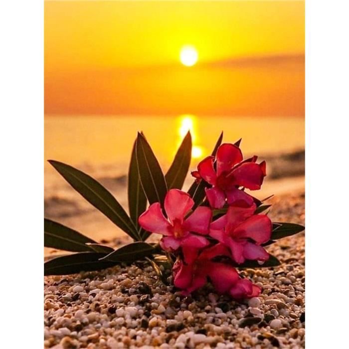 Broderie Diamant Fleur De Coucher De Soleil,Diamond Painting Grand ...