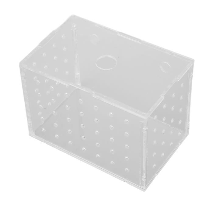 Boîte d'élevage d'isolation de poissons - OMABETA - 9x6x7cm / 3,5x2,4x2 ...