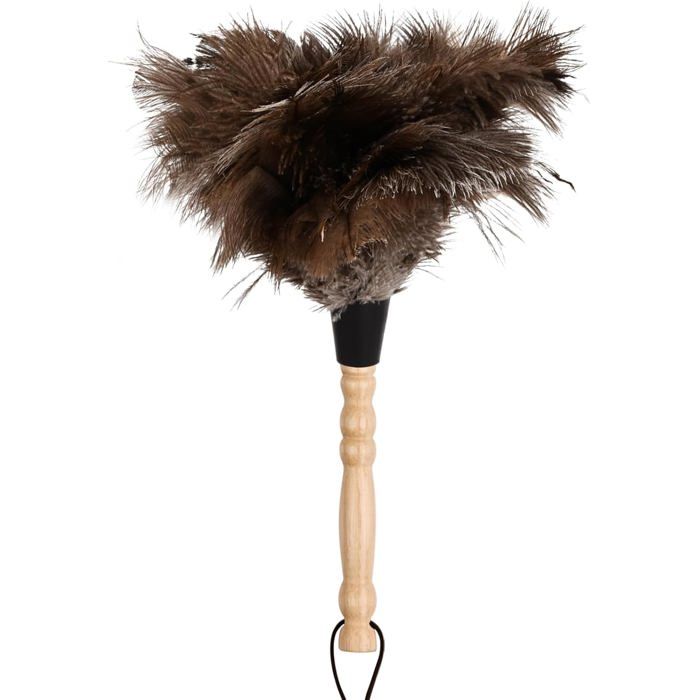 Plume d'Autruche Plumeau, Plumeau d'autruche Antistatique Plumeau ...