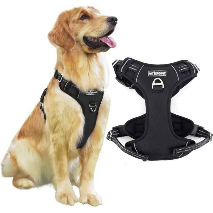 Pattepoint Harnais Chien Réglable Harnais Chien Anti Traction ...