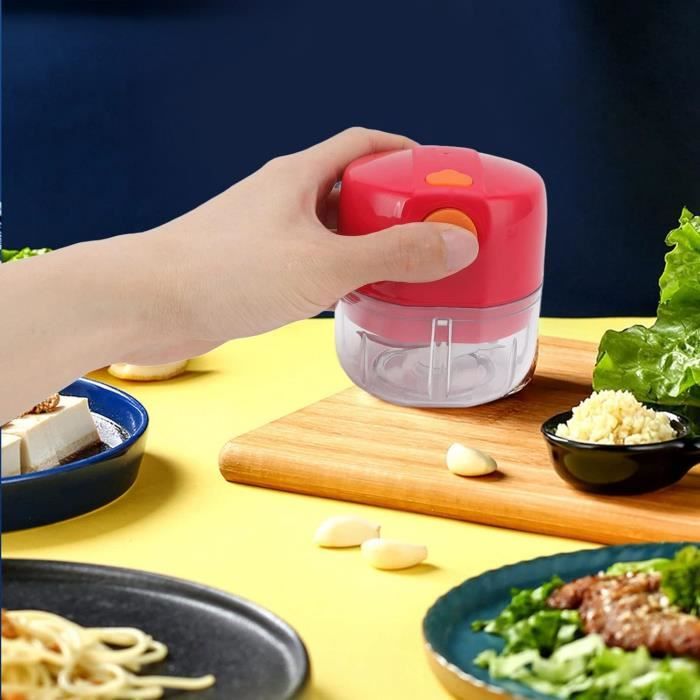 Mini Hachoir à Ail électrique, Chargement USB Portable, Mini Lame ...