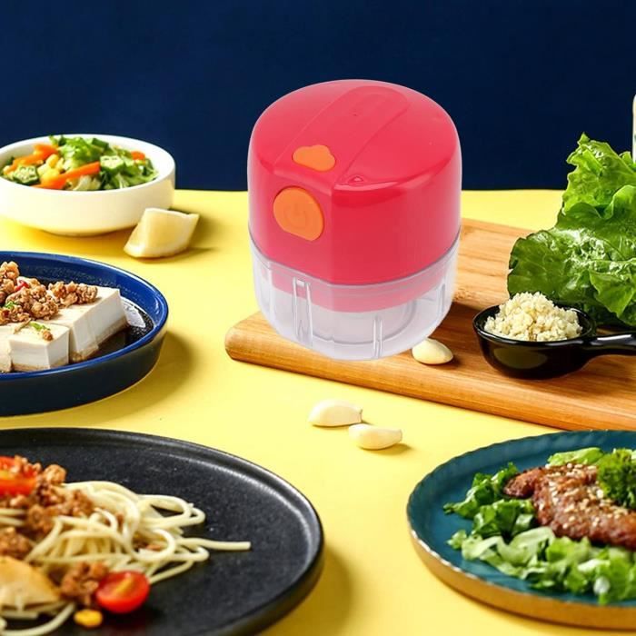 Mini Hachoir à Ail électrique, Chargement USB Portable, Mini Lame ...