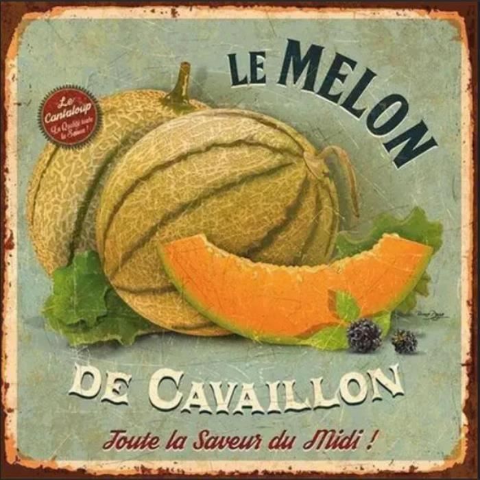 Plaque Métallique Drôle Le Melon Tôle Pour La Maison Cuisine Ferme ...