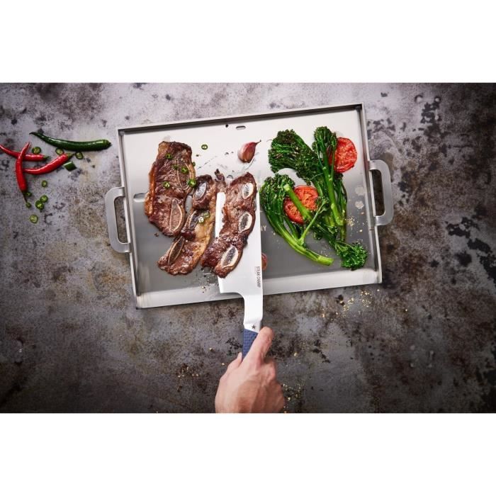 Steak Champ Plancha, 4,2 Kg : Plaque De Cuisson Pour Barbecue Au ...