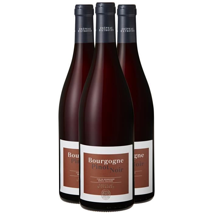 Bourgogne Pinot Noir Rouge 2021 - Lot de 3x75cl - Château d'Etroyes ...