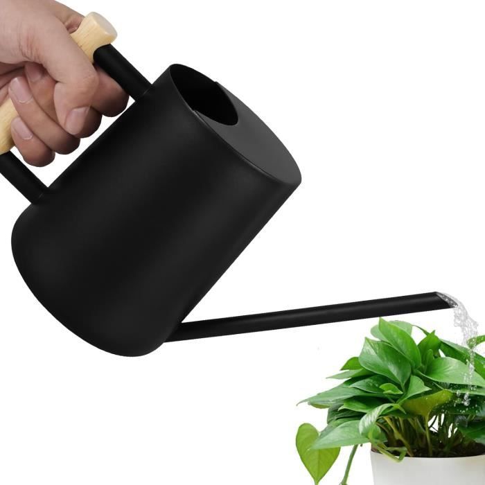 Arrosoir Plante Interieur - Acier Inoxydable - Bec Long - Petit ...