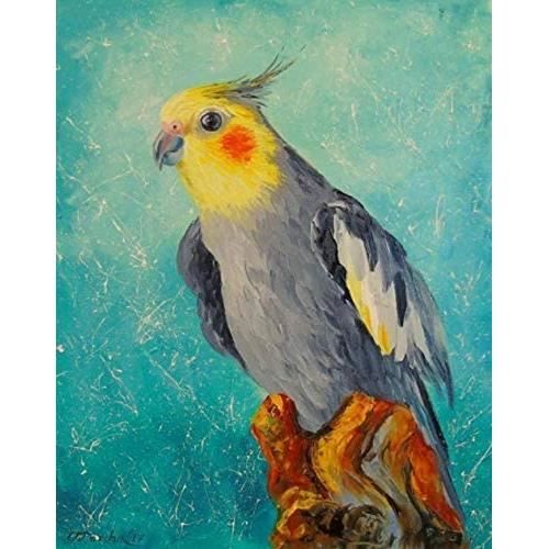 DIY 5D Diamond Painting Broderie Diamant Kit Complet Perroquet Peinture ...