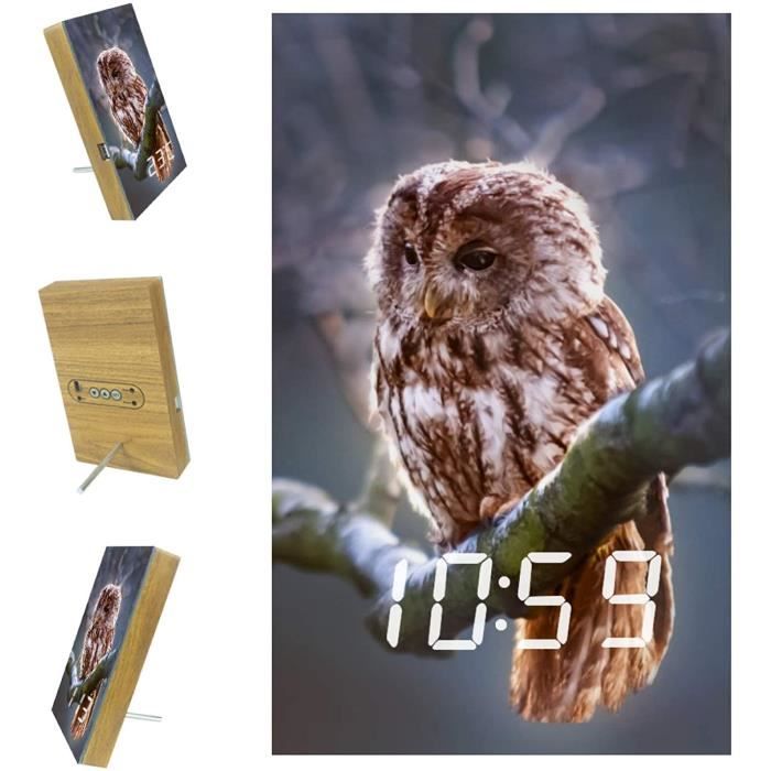 Réveil Enfant Hibou Animal de Branche Réveil Lumineux avec écran LED ...
