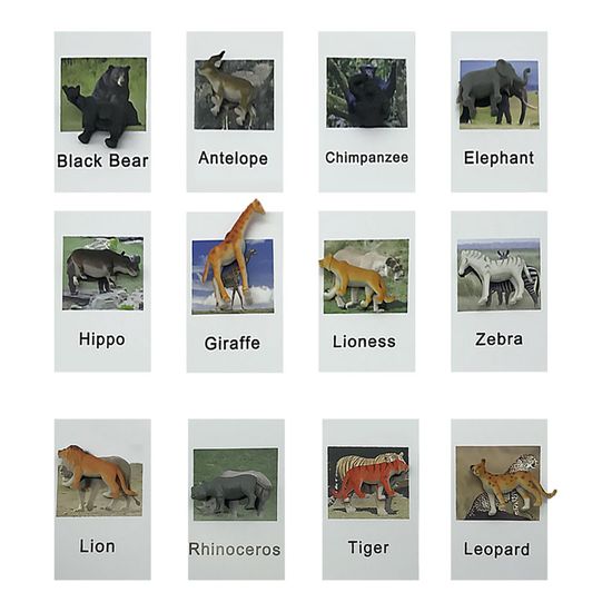 Cartes d'animaux Montessori pour enfants d'âge alth,12 pièces,amusantes ...