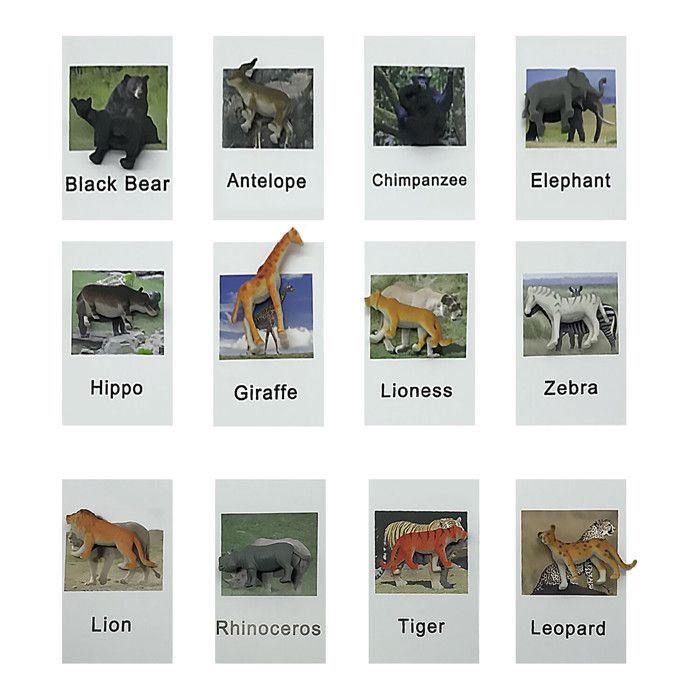 Cartes d'animaux Montessori pour enfants d'âge alth,12 pièces,amusantes ...