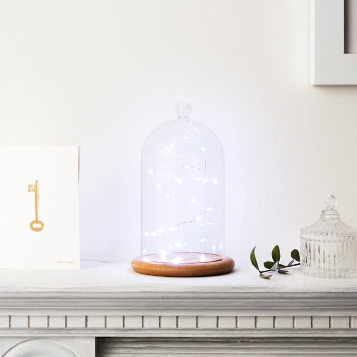Cloche en Verre Décorative avec 20 Micro LED Blanches [W162 ...