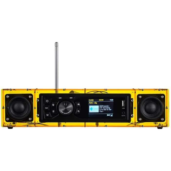Kits Radio FM-Dab Do It Yourself (DIY) avec Coque en Acrylique ...