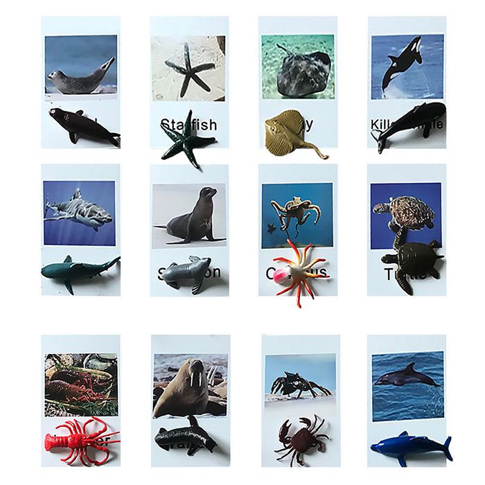 Cartes d'animaux Montessori pour enfants d'âge alth,12 pièces,amusantes ...