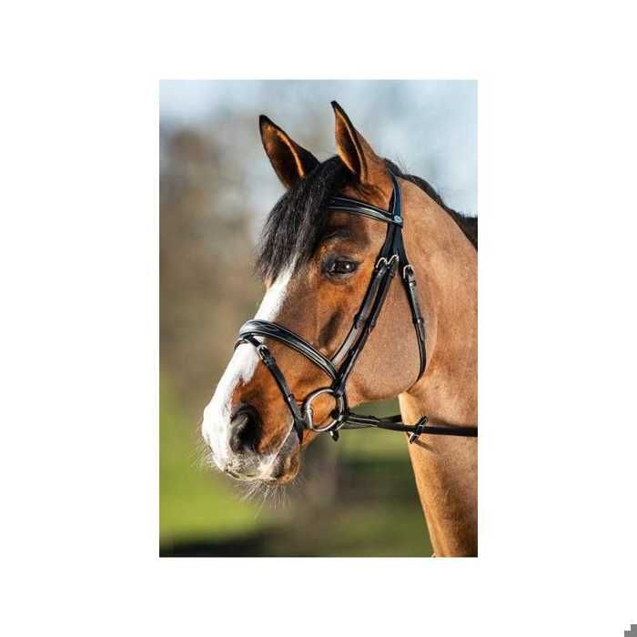Bridons équitation HFI Elegant - Noir - Poney - Cdiscount Animalerie