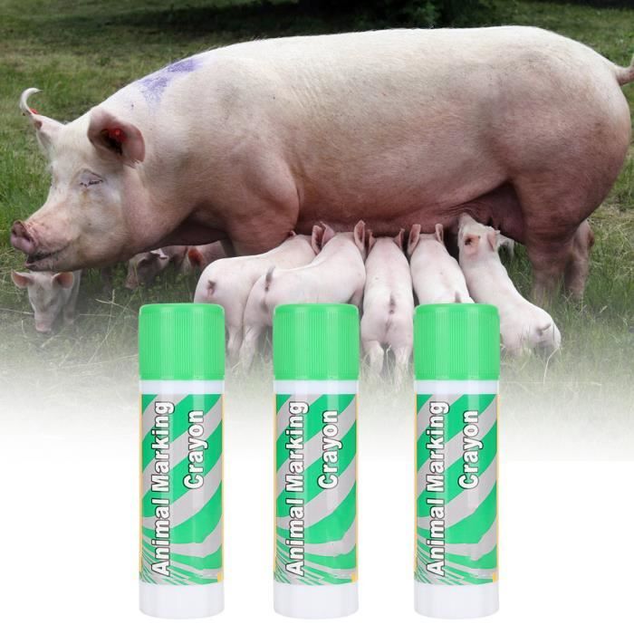 VINGVO marquage des animaux identifier Crayon 3 pièces de marquage d ...