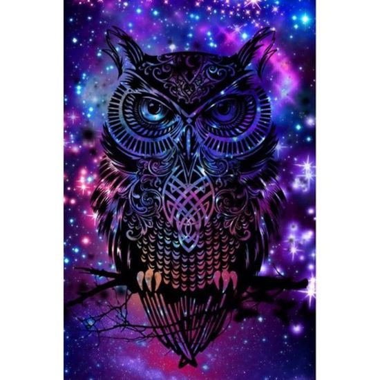 5D Diamond Painting Complet Broderie par Numéros, Hibou Ciel De Nuit ...