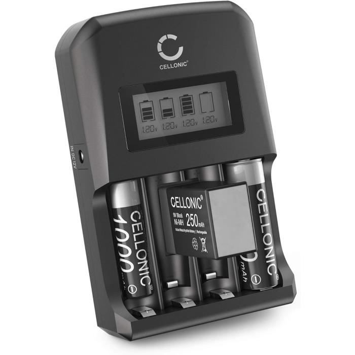 Chargeur Intelligent de Piles Rechargeables AA AAA et 9V Lithium ...