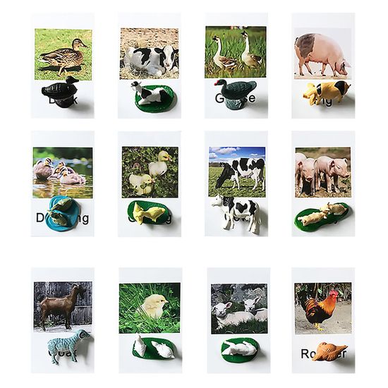 Cartes d'animaux Montessori pour enfants d'âge alth,12 pièces,amusantes ...