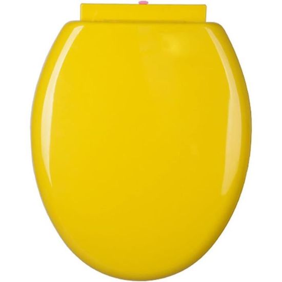 Abattant Wc Avec Frein De Chute (Ovale, Duroplast), Premium Lunette Wc ...