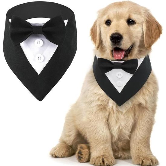 Bandana Smoking Pour Chiens, Foulards Pour Chiens, Écharpe Triangulaire ...