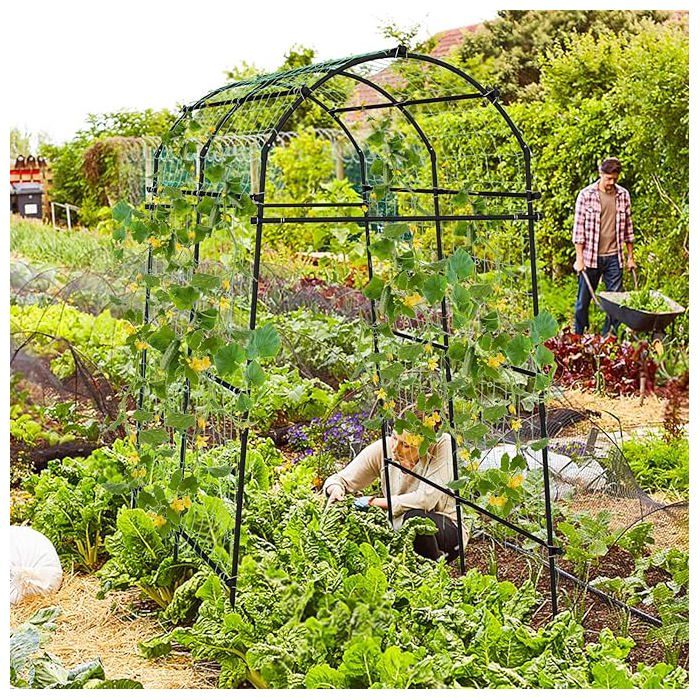 GIANTEX Arche de Jardin en Métal pour Plantes Grimpantes et Vignes ...