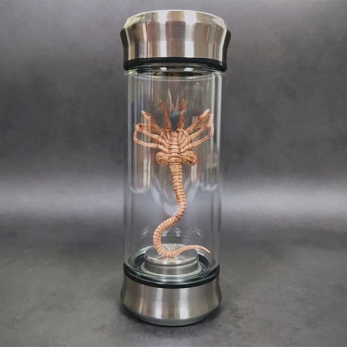 Pot en verre Alien Xenomorph, réplique'un échantillon de Facehugger ...