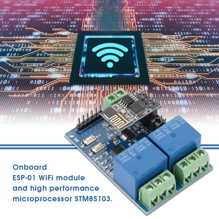 Module De Relais Wifi Mothinessto Esp8266 Double Canal 5v Contrôle à Distance Via App