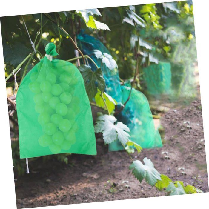 Vert 200 Pièces ensachage de Fruits de Protection Mangue Sacs de ...