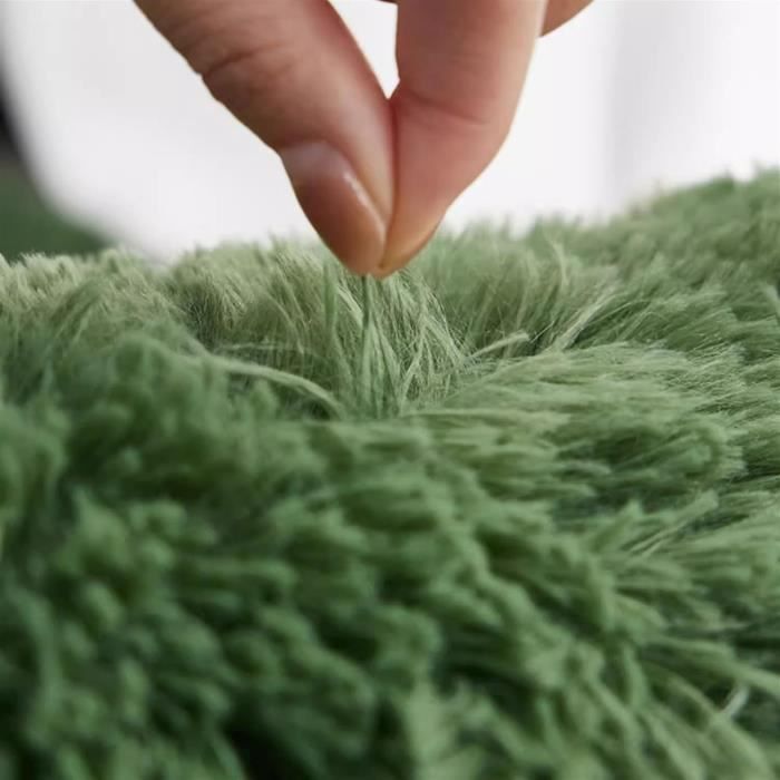 Tapis Doux Salon Tapis Anti Slip Moelleux Chambre Tapis Tapis Shaggy ...