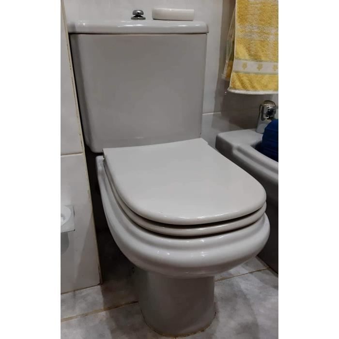 Roca A801327694 Dama Retro Abattant pour WC Gris124 - Cdiscount Bricolage