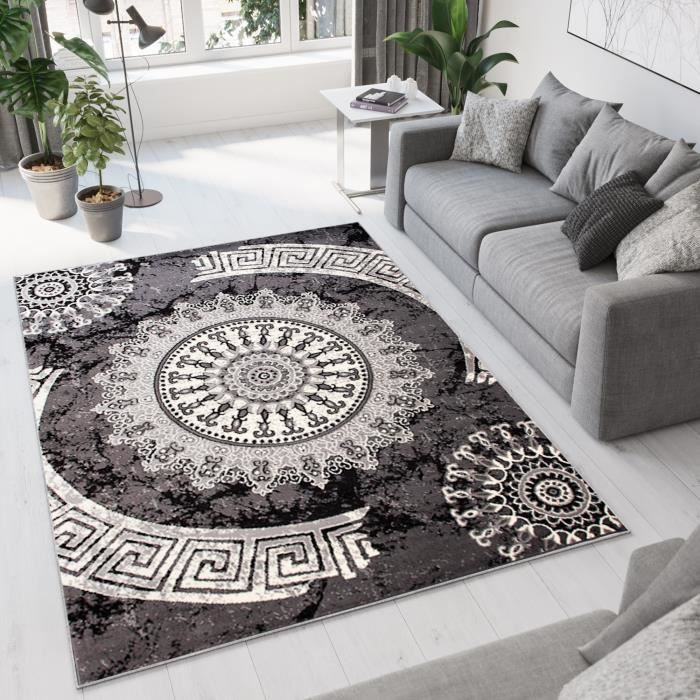 TAPISO Dream Tapis de Salon Design Moderne Fin Gris Foncé Crème Cercles ...