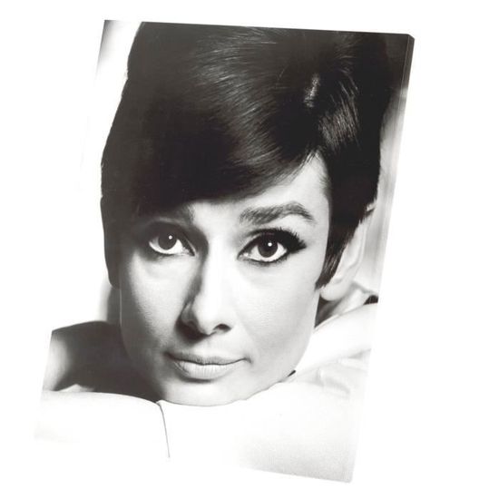Tableau Décoratif Photo De Star Célébrité Audrey Hepburn Actrice Vieux