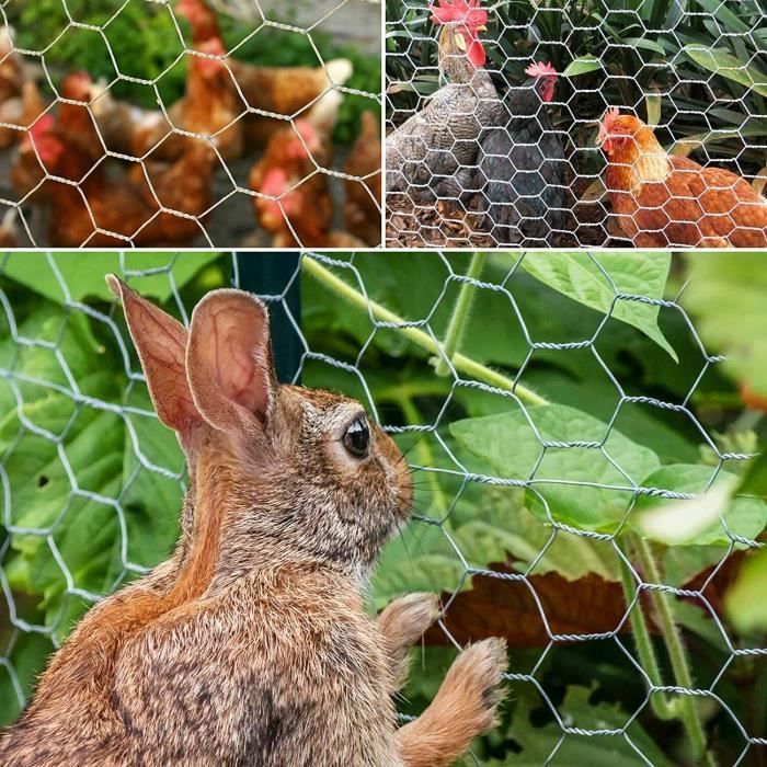 Grillage à Poule - Non spécifié - 1m x 25m - Fer avec revêtement de ...