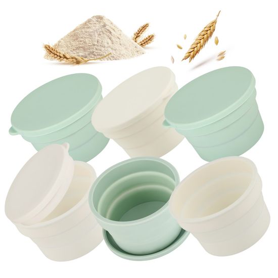 Boîte de fermentation pâte pizza (4/6 pièces) : silicone empilable ...