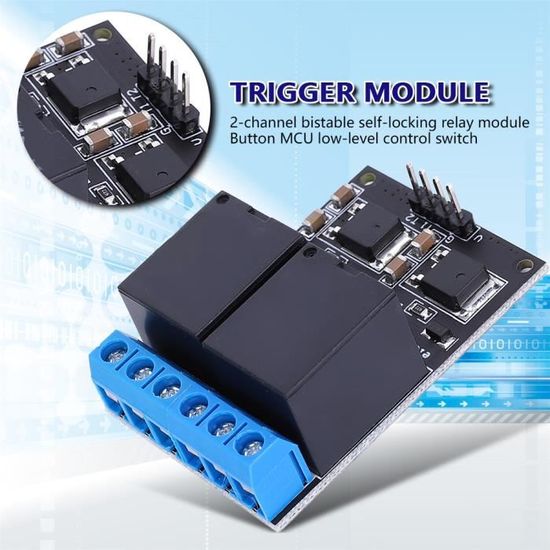 EJ.life Module de relais DC 12V 2 Channel Relay Module, Bistable Self-Locking Low Pulse Trigger ...