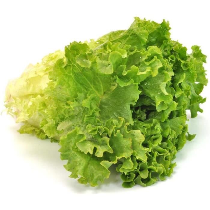 WEYE-Les variétés contenant plusieurs légumes et graines de vanille ...