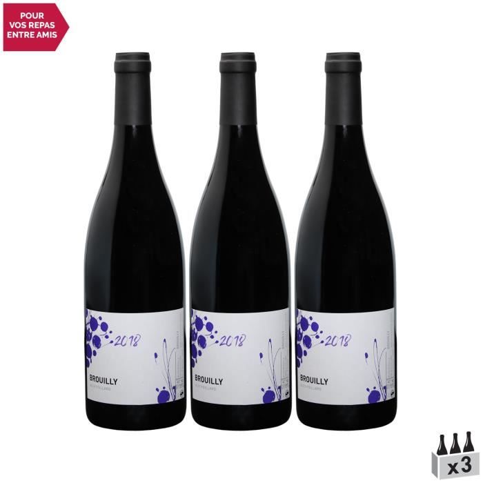 Brouilly Rouge 2018 - Lot de 3x75cl - Alex Foillard - Vin AOC Rouge du ...