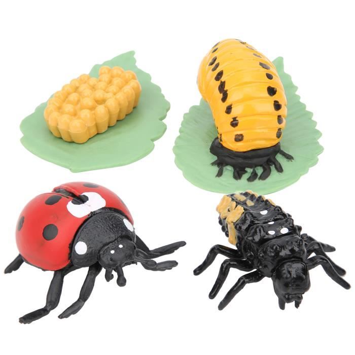 ZJCHAO Jouet modèle insecte Jouet Modèle d'Insecte Haute Simulation ...