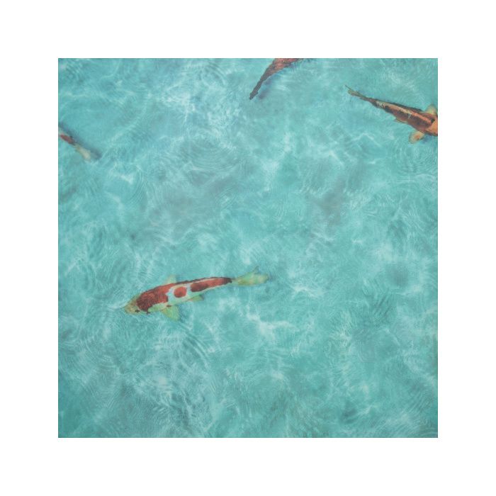 Sol vinyle Textile - effet poisson Koï japonais - Rouleau de 2m x 10m ...