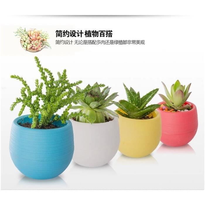 Tammy Store Succulent Pot Mini Semis Fleur Conteneur En Plastique Pot ...