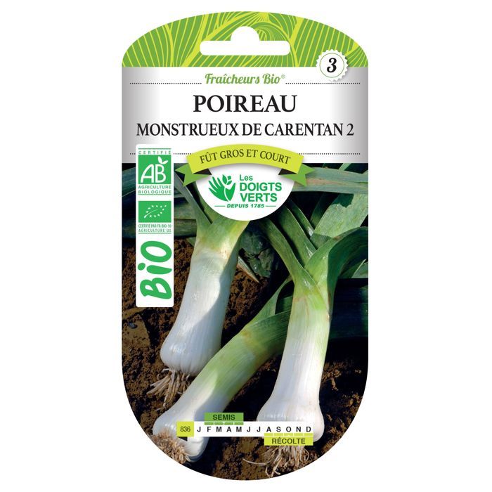 Graines de poireau Les Doigts Verts Monstrueux de Carentan 2 BIO ...