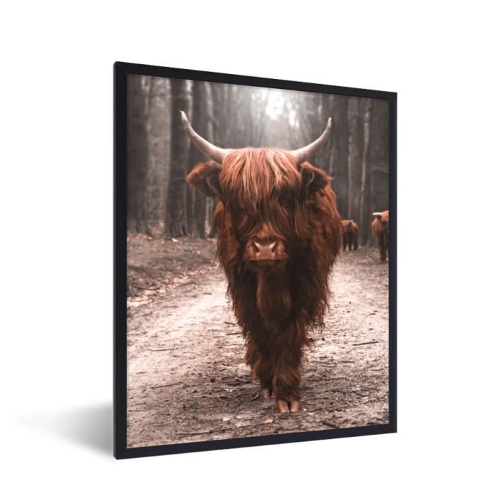 Cadre Photo - MuchoWow - Portrait - 60x80 cm - Highlander écossais ...