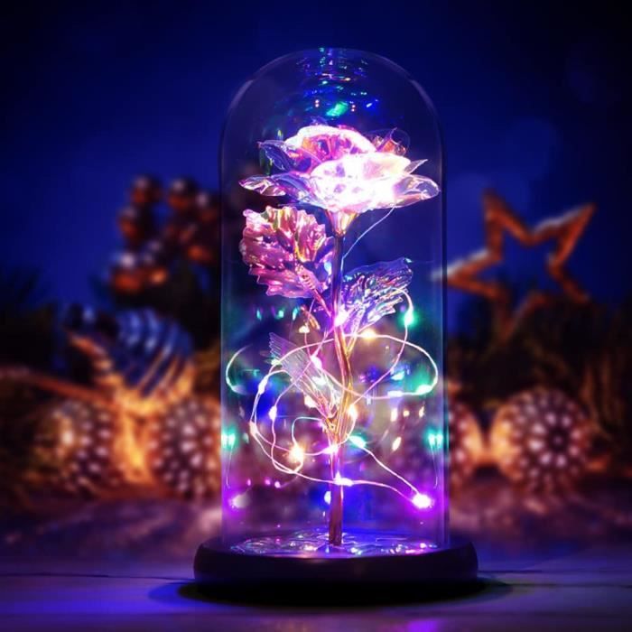 OPAMOO BNGXR Rose Eternelle sous Cloche, Rose Eternelle Galaxy Rose ...