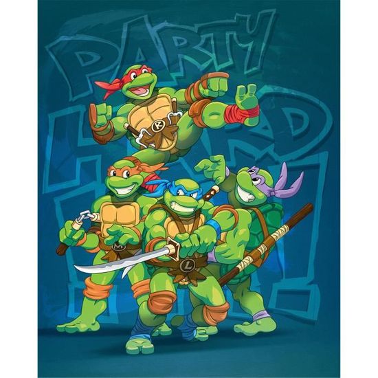 NXYI-81 Diy Teenage Mutant Ninja Turtles Diamond Drawing,5D Diamond ...