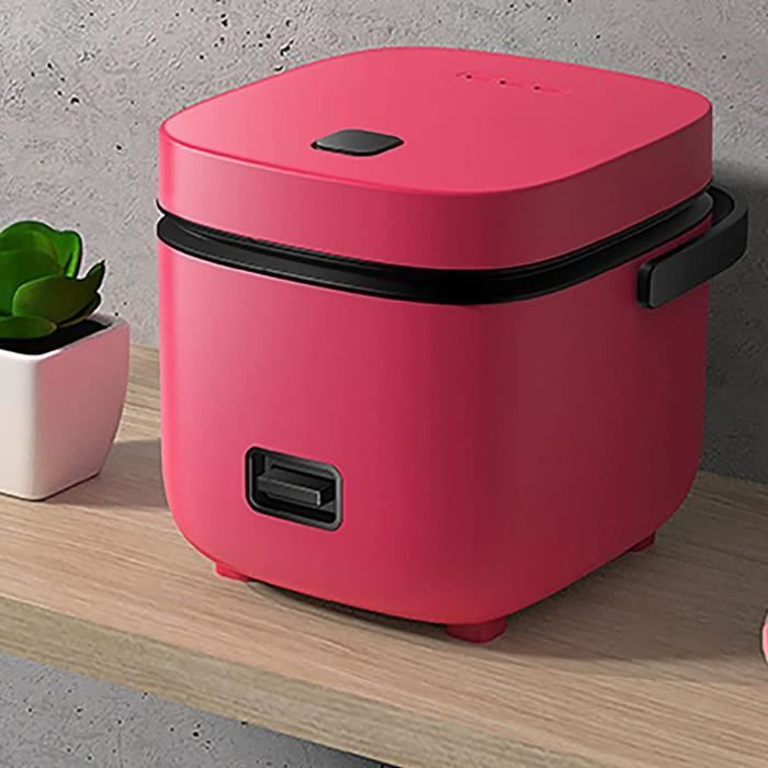 Mini Cuiseur Riz Portable Petit Cuiseur À Riz Intelligent Multifonction ...